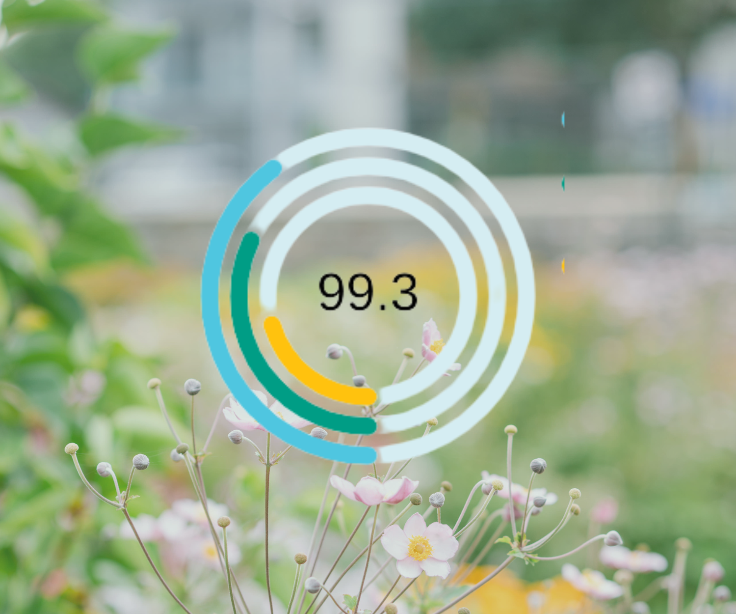 Breaking Down Our BCorp Score – Tease - Tea Inspired Wellness & Beauty